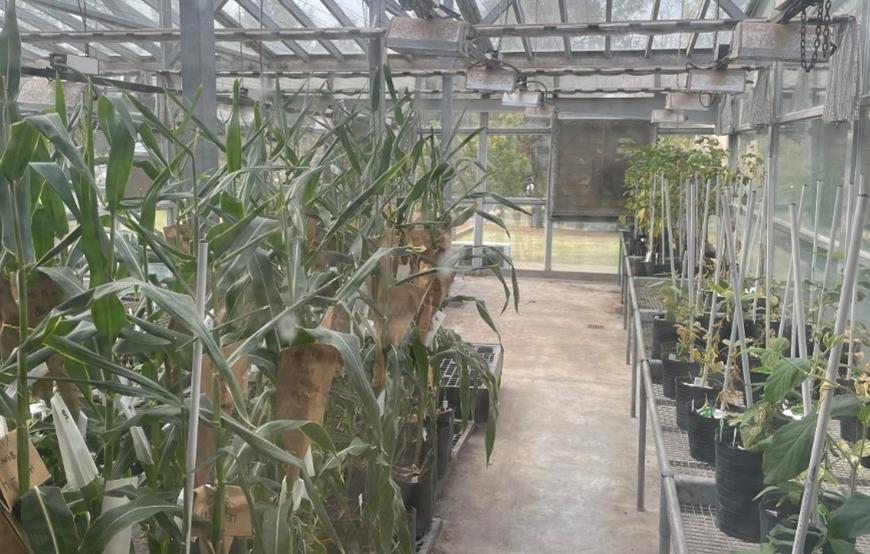 Our impact measurement and management framework in practice: Bioceres ...